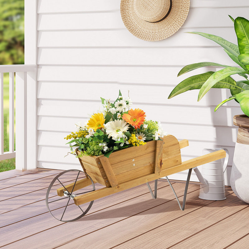 August Grove® Brynesha Pine Wheelbarrow Planter & Reviews | Wayfair